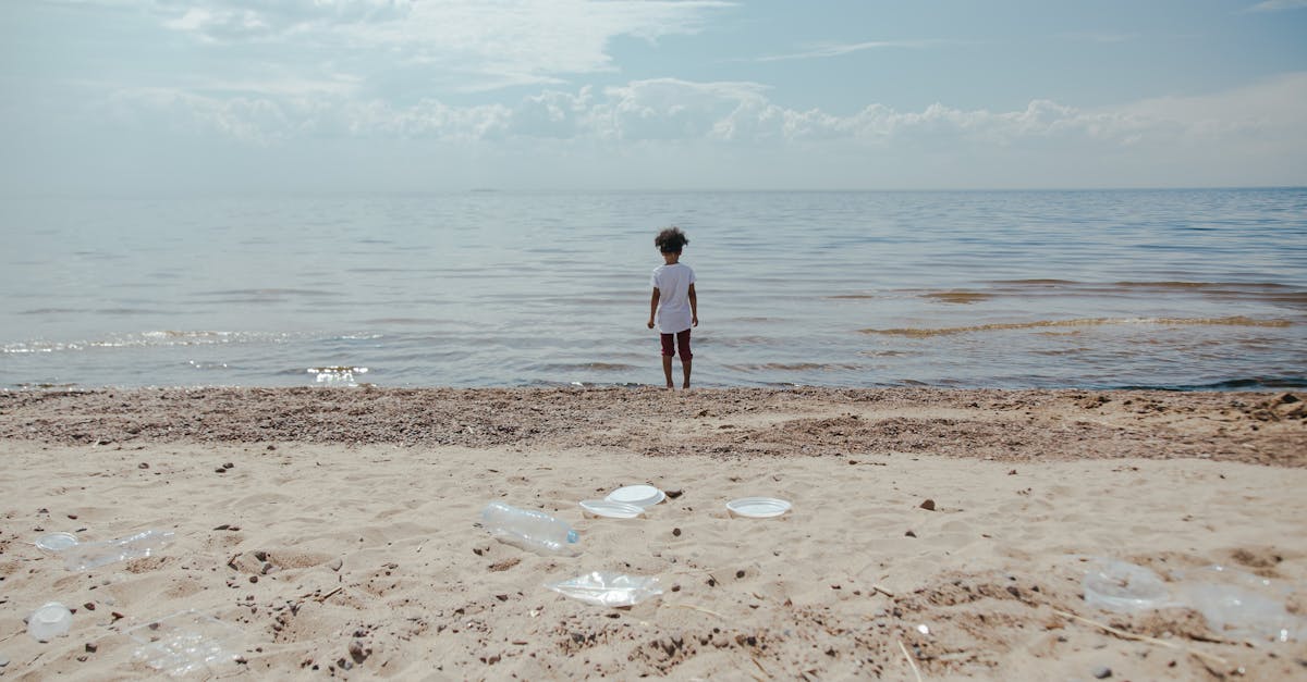 Les impacts des activités humaines sur la nature - DOCU CLIMAT