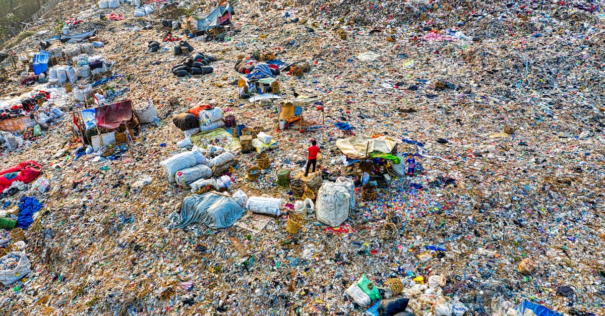 Les impacts des activités humaines sur la nature - DOCU CLIMAT