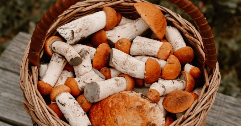 Ressources Naturelles : Entre Défis et Durabilité