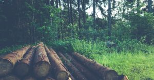 Ressources Naturelles : Entre Défis et Durabilité